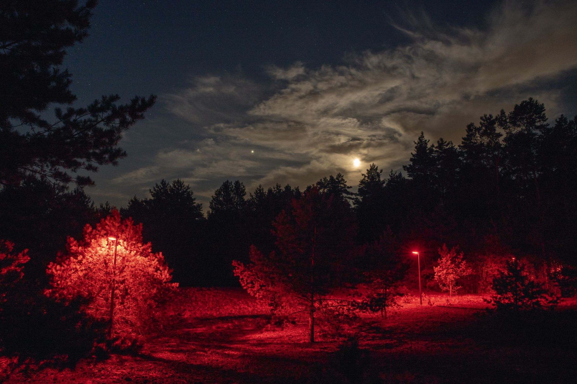 How we influence the foraging behavior of bats - BioClock